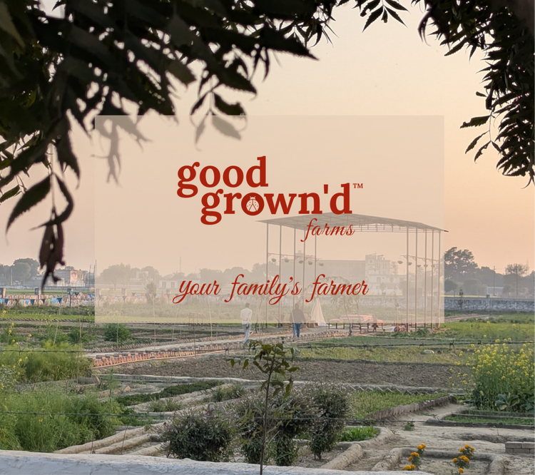 https://goodgrownd.in/ – Good Grown'd Farms