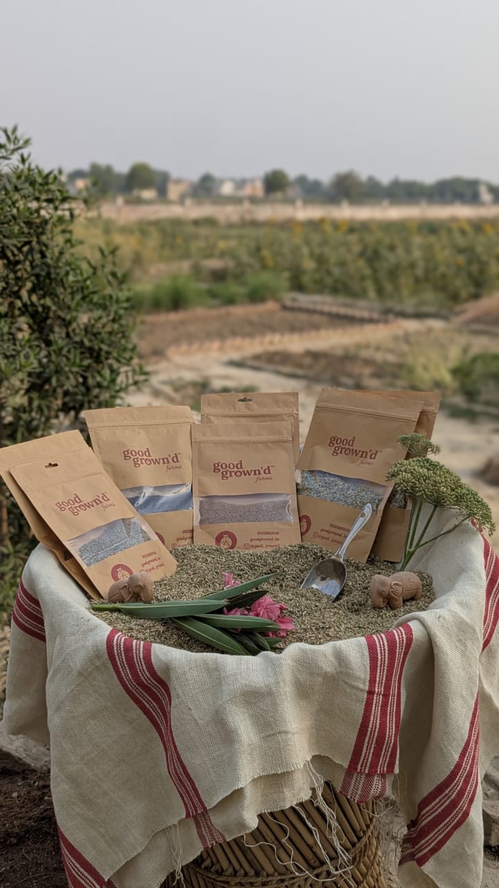 Fennel Seeds (Saunf) | Organically Grown | No Preservatives | Good for ...